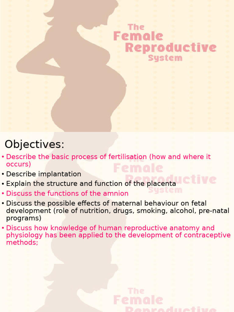 Human Fertilization and Implantation Process | PDF | Placenta ...