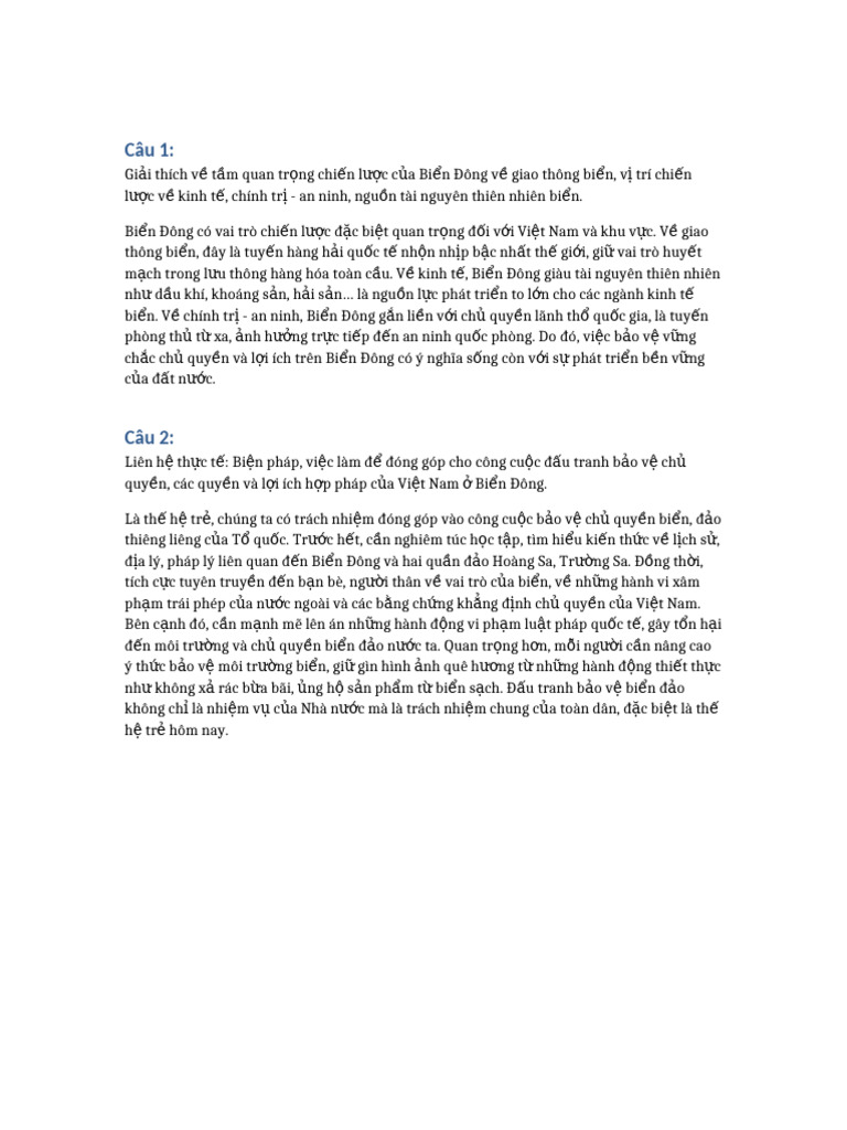 Bien Dong Viet Nam | PDF