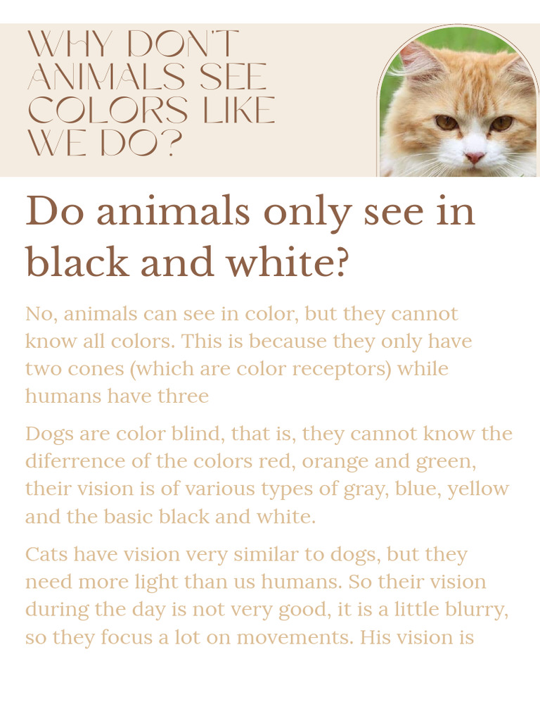 Why Don't Animals See Colors Like We Do? | PDF