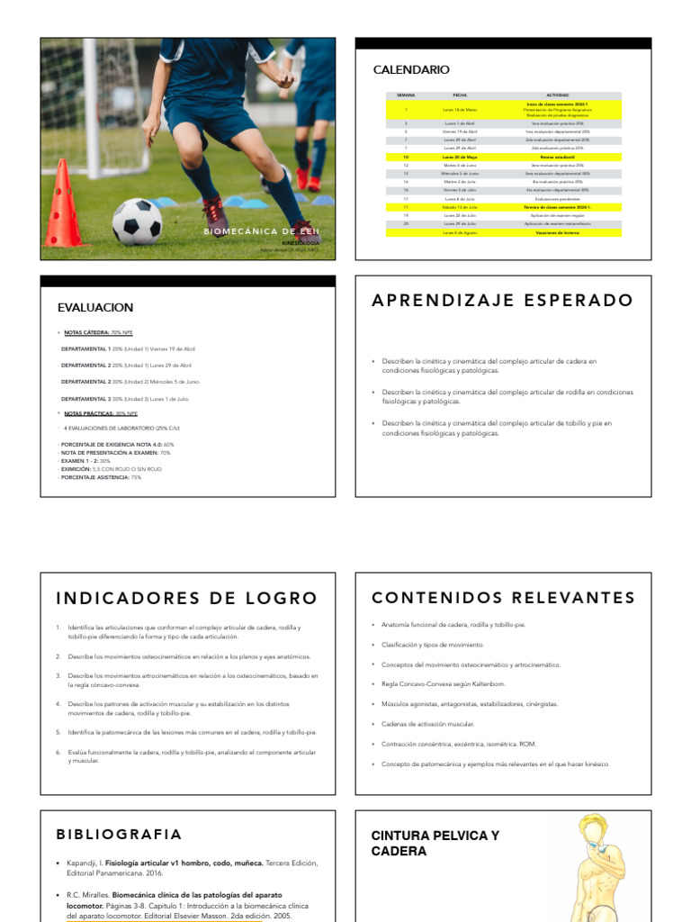 Cátedra 3. BIO1. Biomecánica de EEII | PDF | Pelvis | Articulación