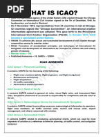 Overview of ICAO Annexes 1-19 | PDF