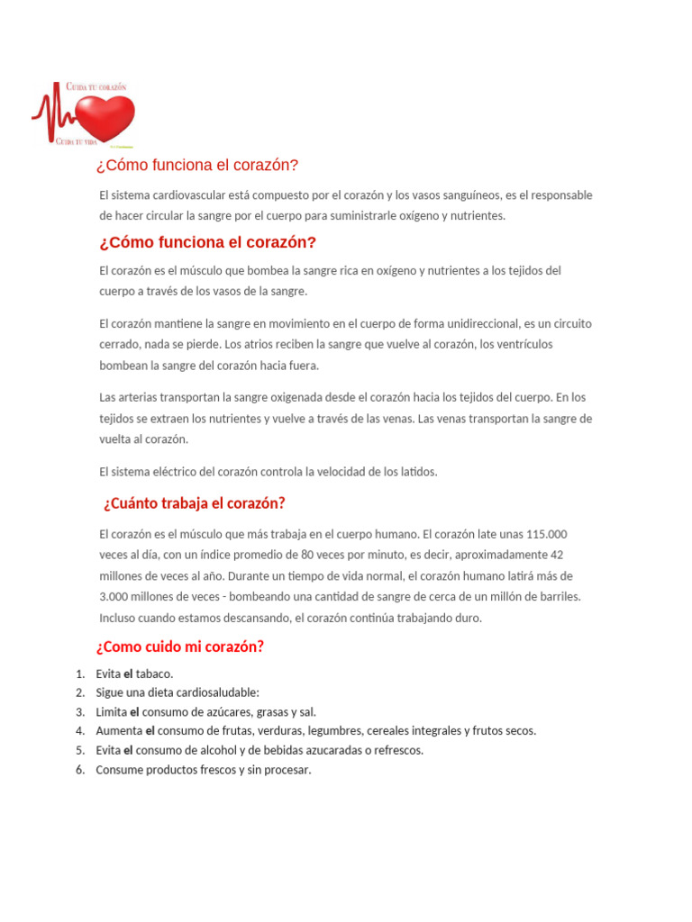 Cómo Funciona El Corazón | PDF