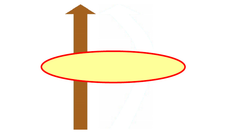 Linea Recta Vs Linea Torcida | PDF