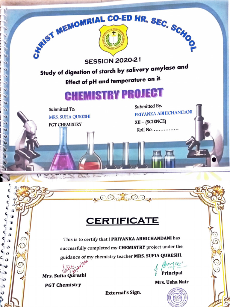 Class 12 Chemistry Project | PDF