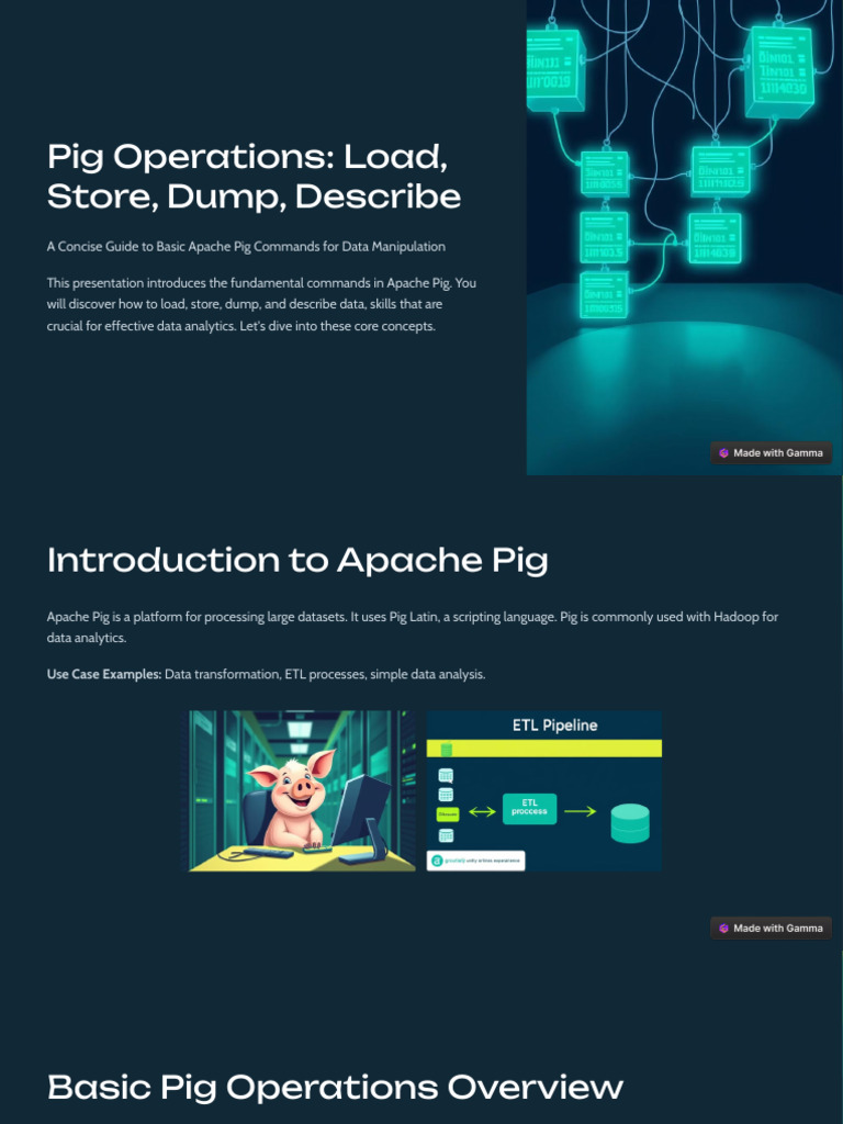 Pig Operations Load Store Dump Describe | PDF | Command Line Interface | Apache Hadoop