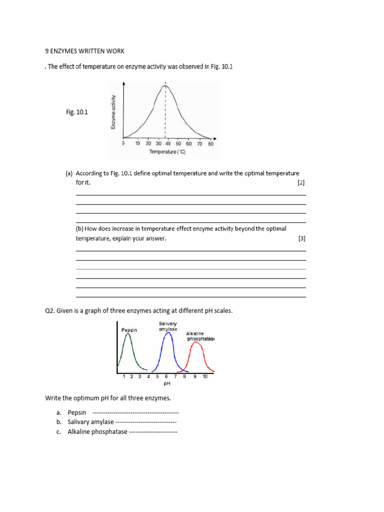 bilogy worksheet 2024 | PDF