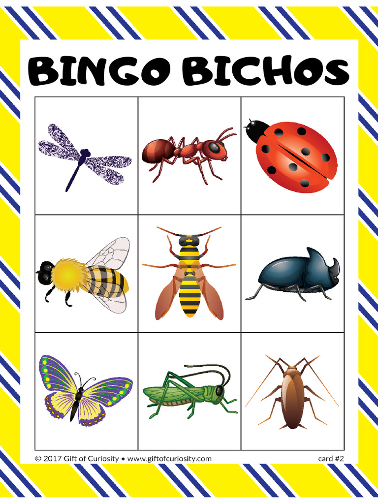 BINGO BICHOS | PDF