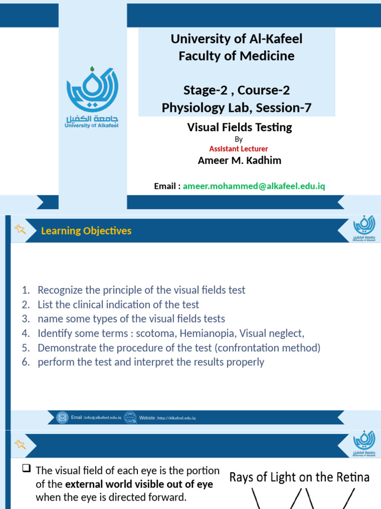 Visual Fields 638764322454372994 | PDF | Visual System | Senses