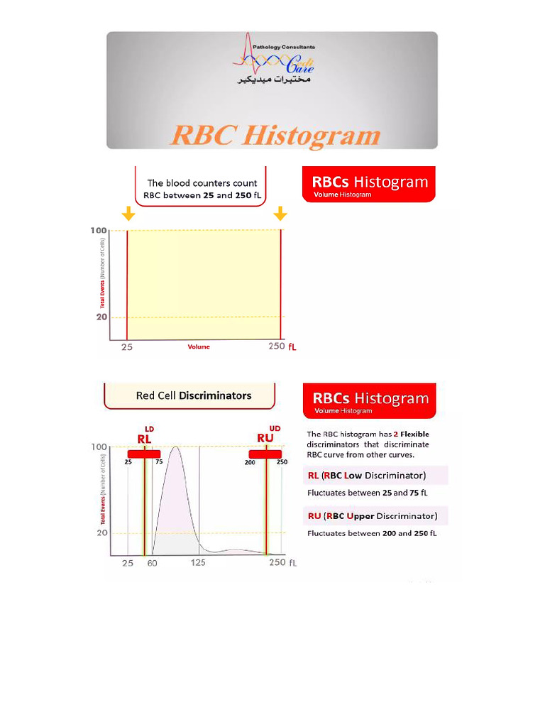 RBC Histogram Chaker | PDF