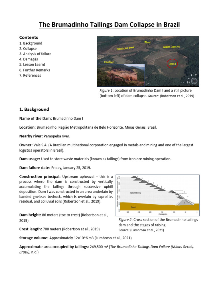 HSE2021 DamFailure Bormon Koushik Kumar | PDF | Dam | Earth Sciences