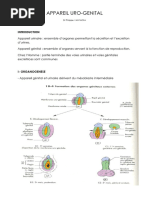 Anatomie de l'appareil uro-génital | PDF | Appareil urinaire | Rein