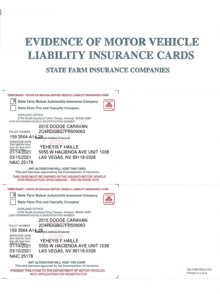 Temporary ID Cards 2 | PDF
