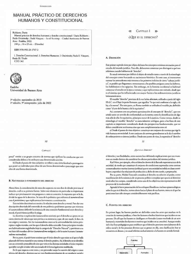 Manual Práctico de DDHH y Constitucional - Richarte - 2022 | PDF | Caso de ley | Constitución