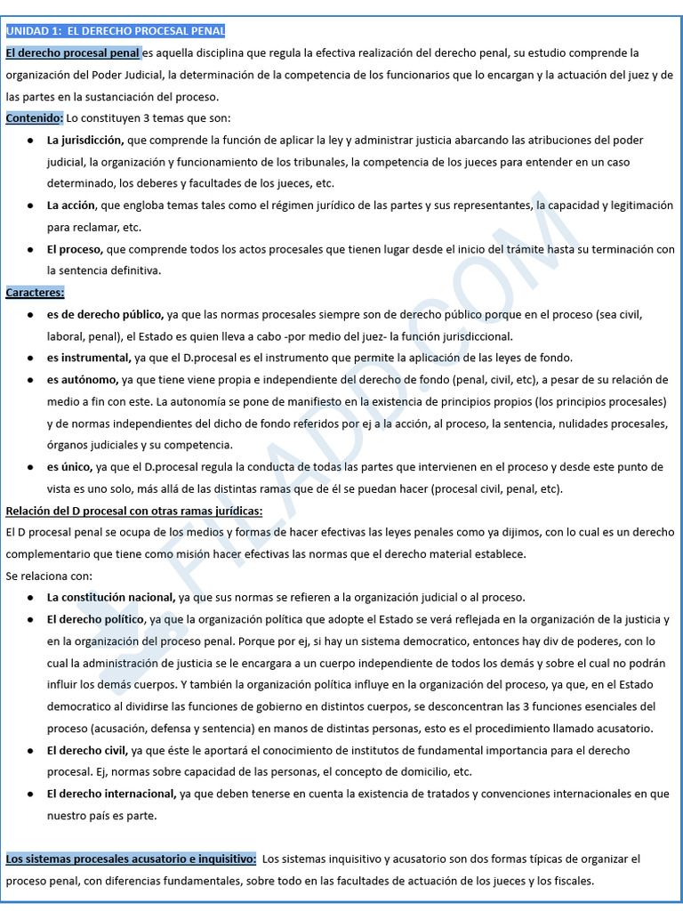 PROCESAL PENAL RESUMEN AGUS 1 | PDF | Debido al proceso | Ley procesal