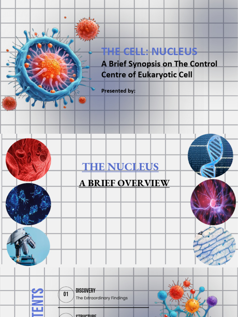 Cell Biology Nucleus Presentation | PDF | Cell Nucleus | Dna