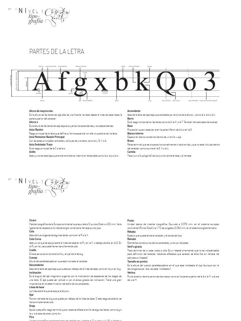 Partes de la Letra en Tipografía | PDF | Tipografía