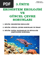 10.sinif Tyt Biyoloji Ekosistem Ekolojisi Konu Anlatimi | PDF