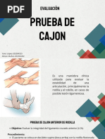 Pruebas de Bostezo en Rodilla | PDF | Rodilla | Medicina CLINICA