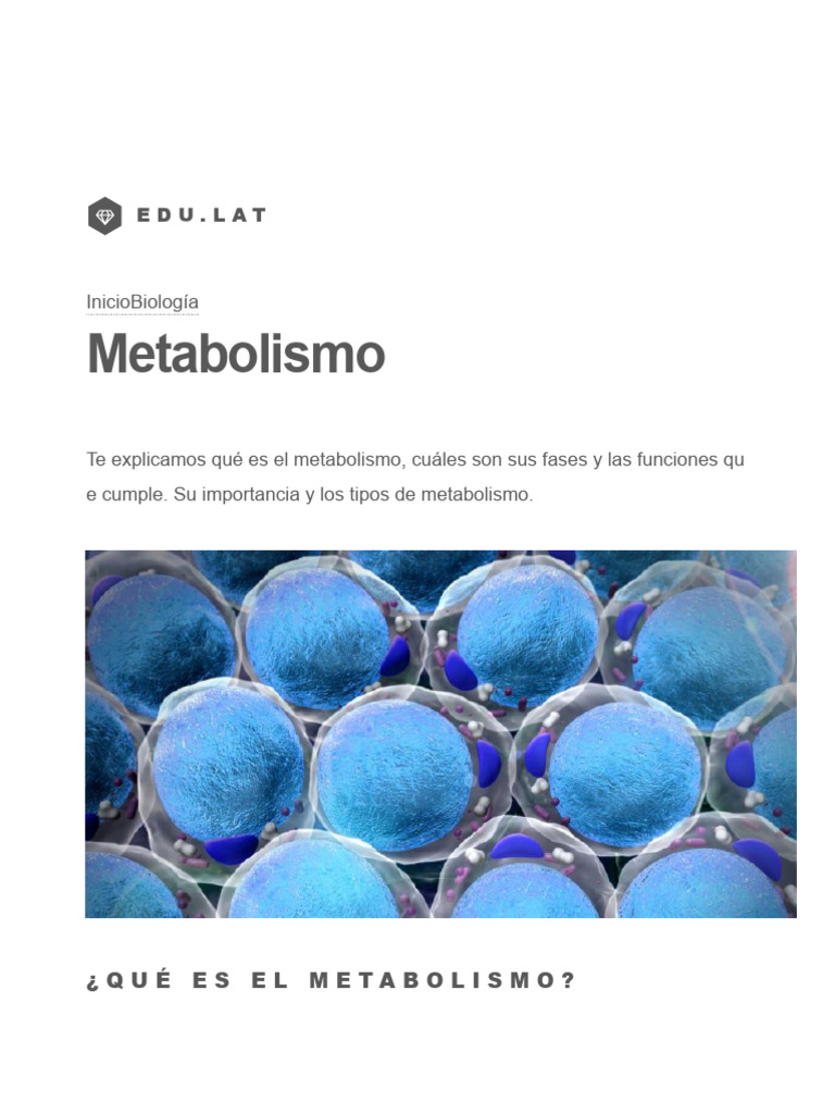 Metabolismo - Concepto, Tipos, Fases, Funciones e Importancia | PDF | Metabolismo | Organismos