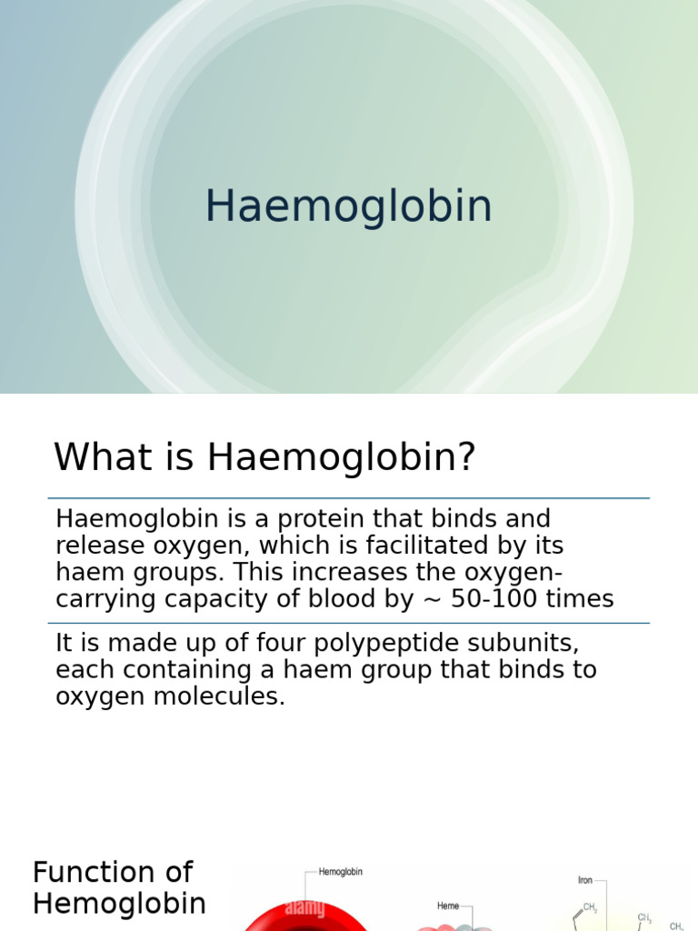 Understanding Haemoglobin Structure & Function | PDF