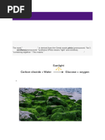 8 Life Sciences Grade 12 PHOTOSYNTHESIS | PDF | Photosynthesis ...