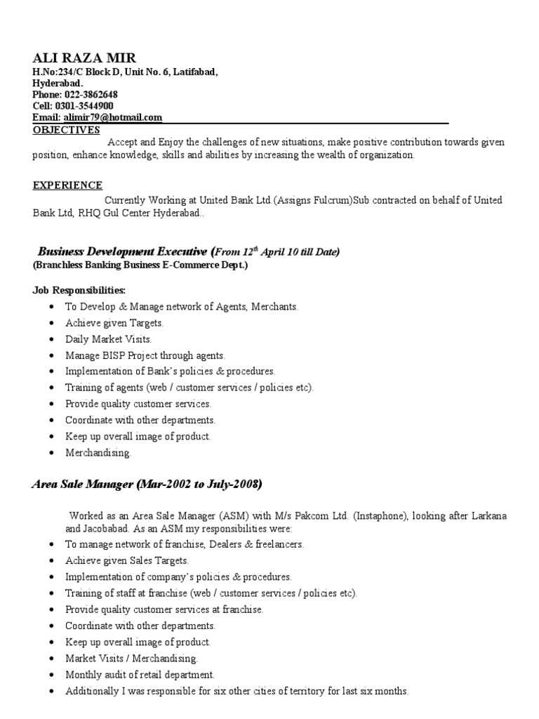 Business Development Executive Resume | PDF | Career & Growth | Business