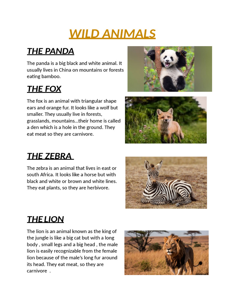 Wild Animals | PDF