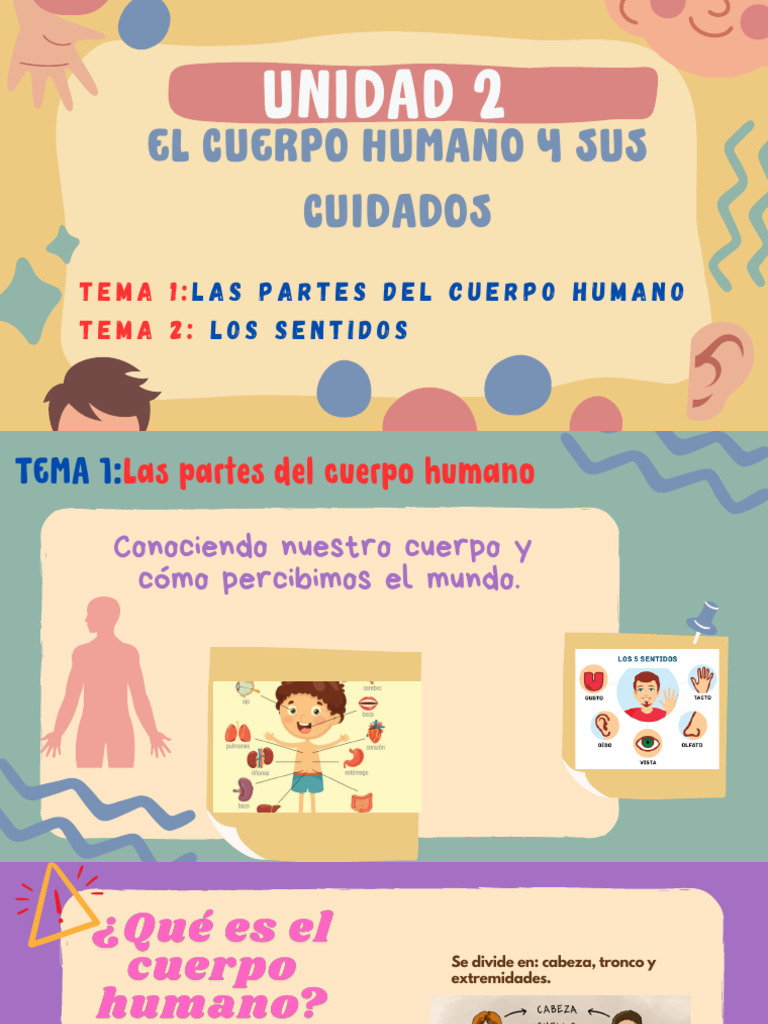 Unidad 2 | PDF | Sentidos | Sistema nervioso