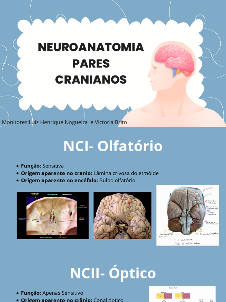 PARES CRANIANOS: FUNÇÕES E ORIGENS | PDF | Cabeça e pescoço humano ...