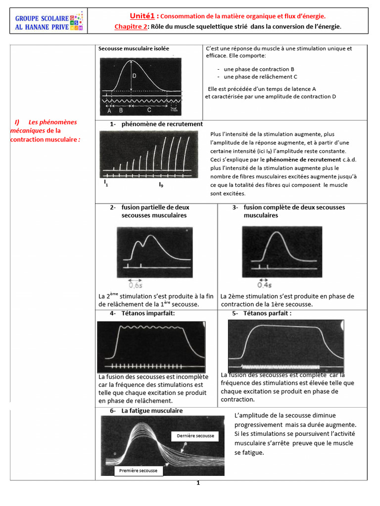 Mécanismes de la contraction musculaire | PDF | Contraction du muscle ...