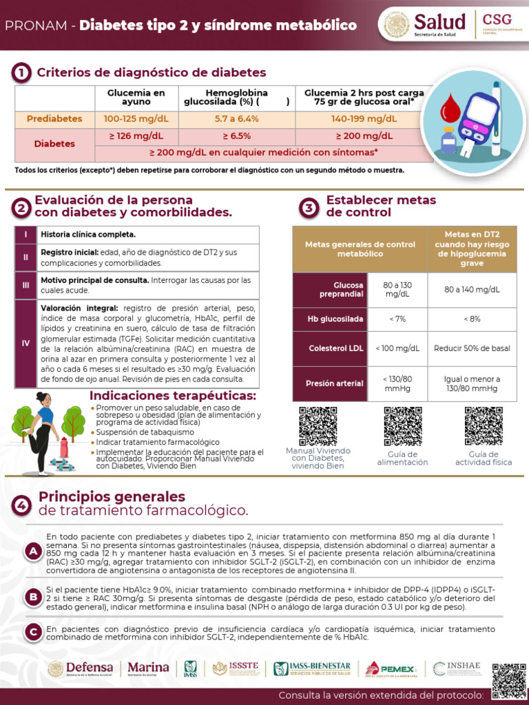 Anexo 10 Pronam Dt2 Infografía | PDF | Diabetes | Colesterol