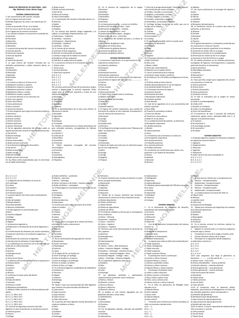 PREGUNTAS-DE-ANATOMIA-2021 (1) | PDF | Riñón | Pulmón