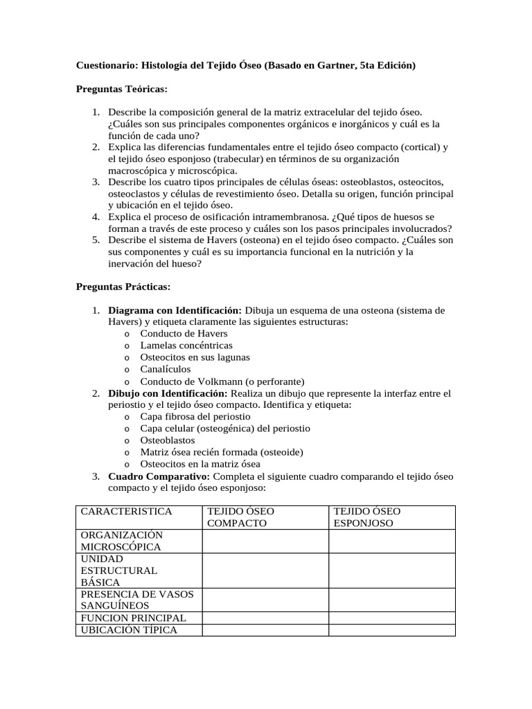Histología del Tejido Óseo: Osteonas y Células | PDF | Hueso | Tejido ...