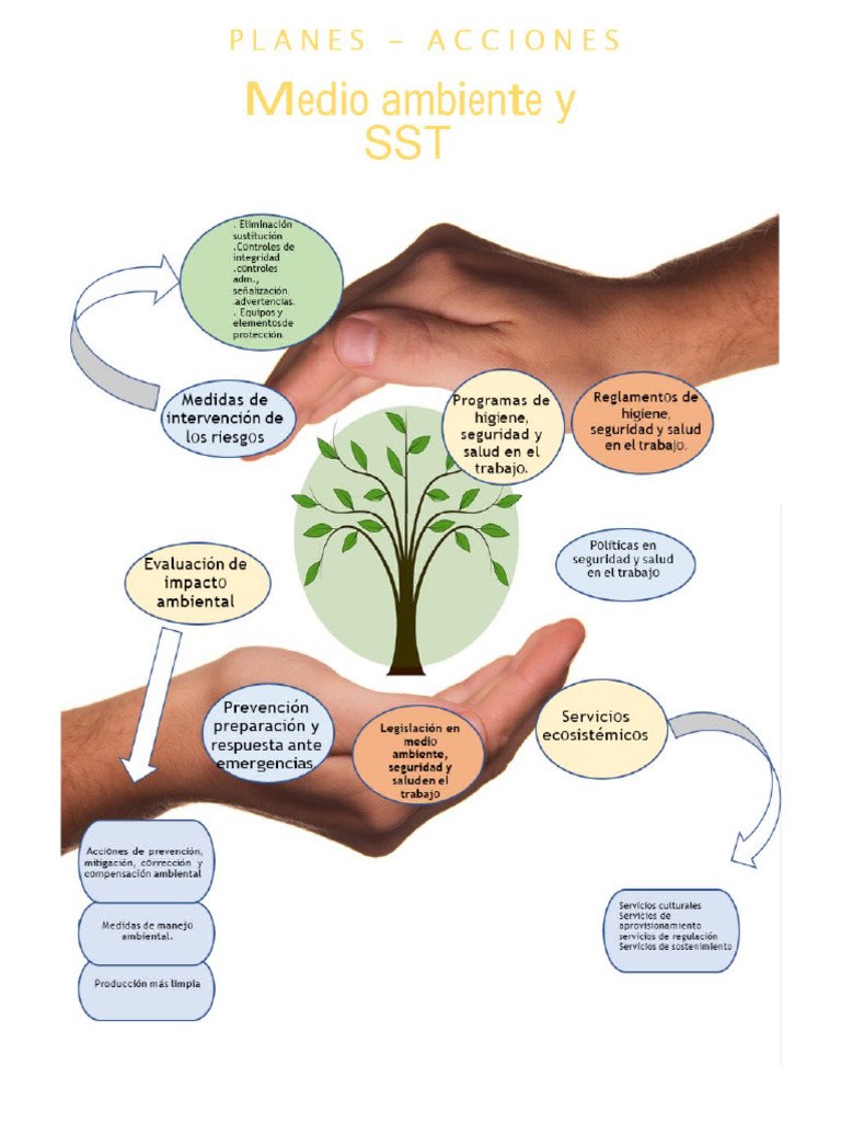 Mapa Mental SST | PDF