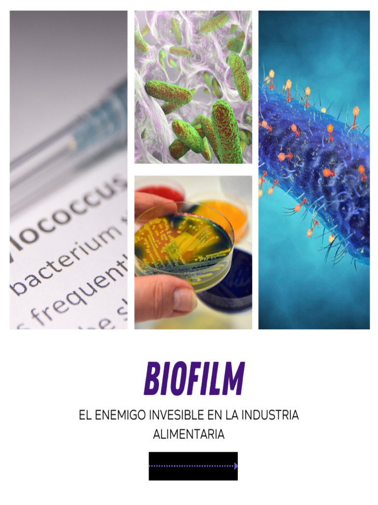 BIOFILMS | PDF