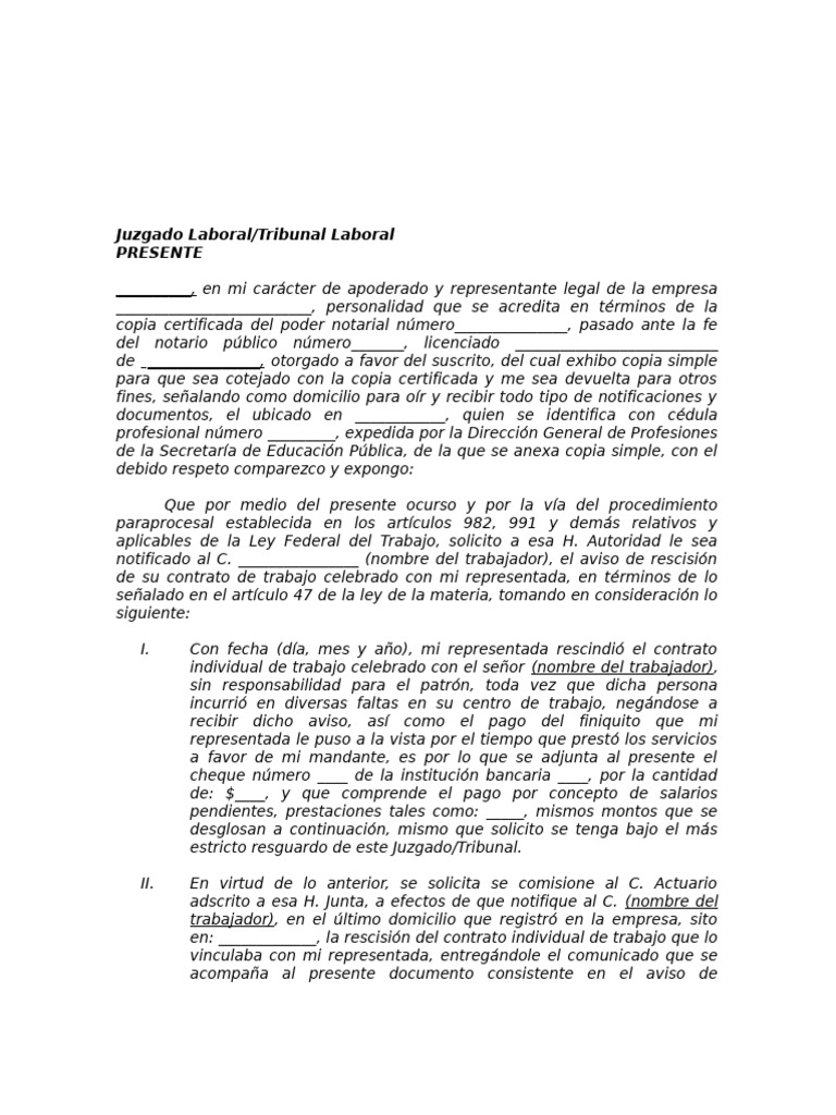Formato Paraprocesal 2 | PDF