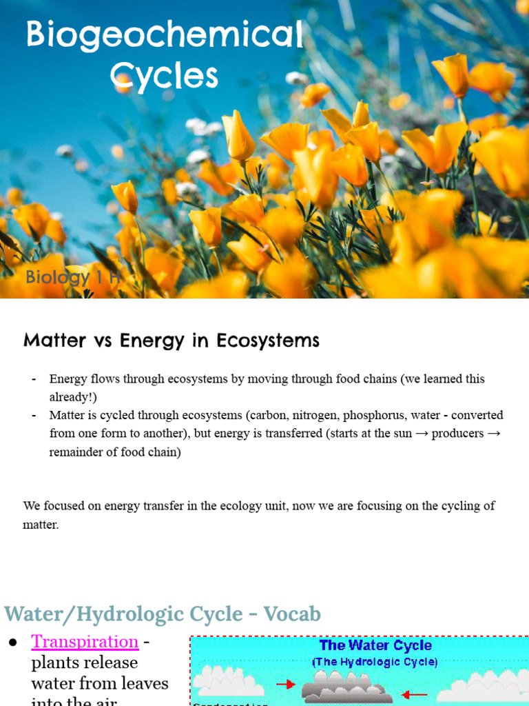Biogeochemical Cycles H | PDF | Nitrogen | Water Cycle
