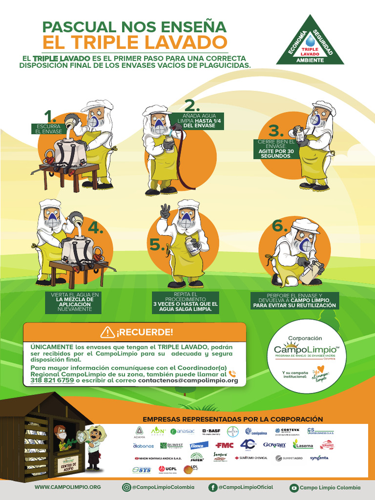 Afiche Triple Lavado 35x30 CL 2024 Actualizado | PDF