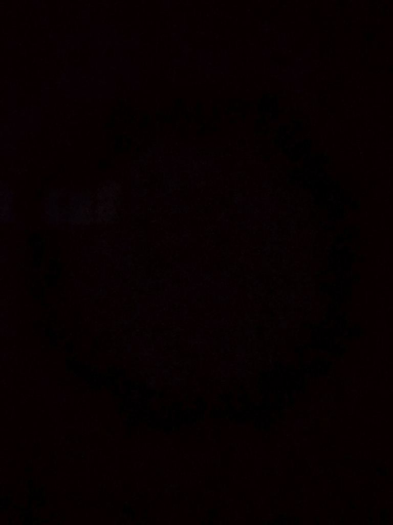 PDF Phoenix 20250513 002626 | PDF