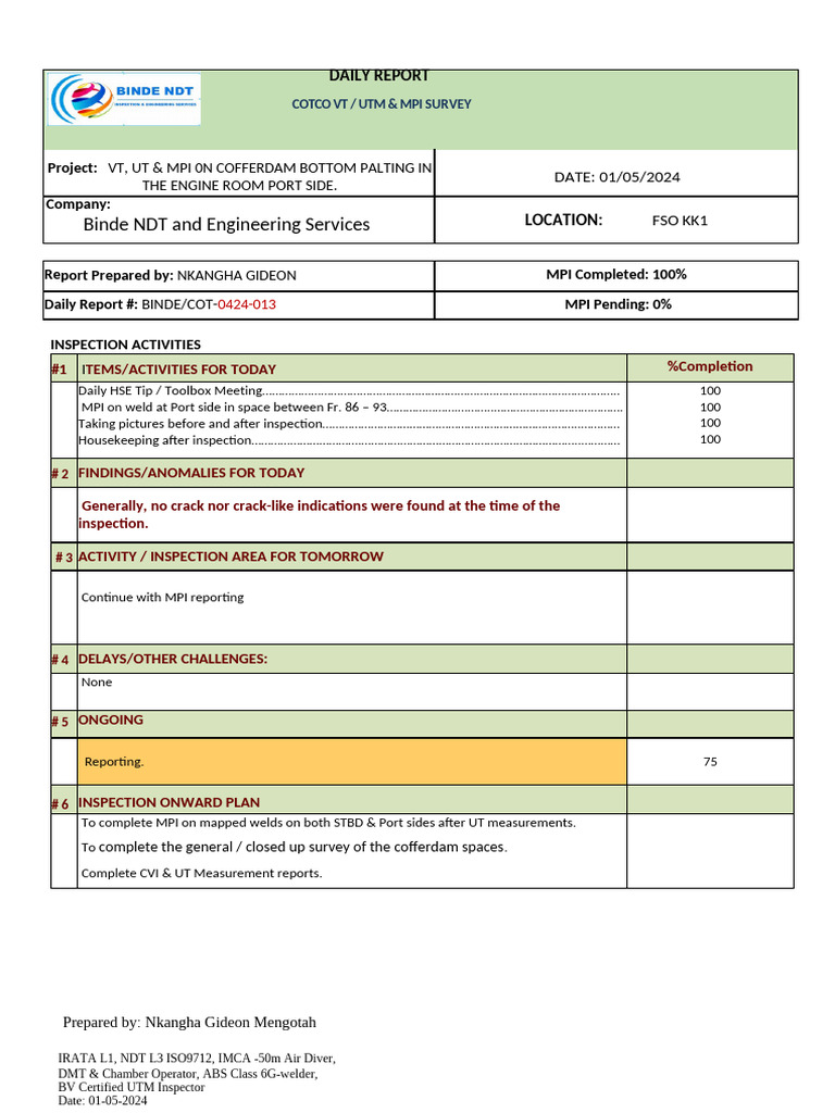 Daily Report - Cofferdam MPI - 5 | PDF