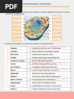 Amoeba Sisters - Intro To Cells Recap | PDF | Cell (Biology ...