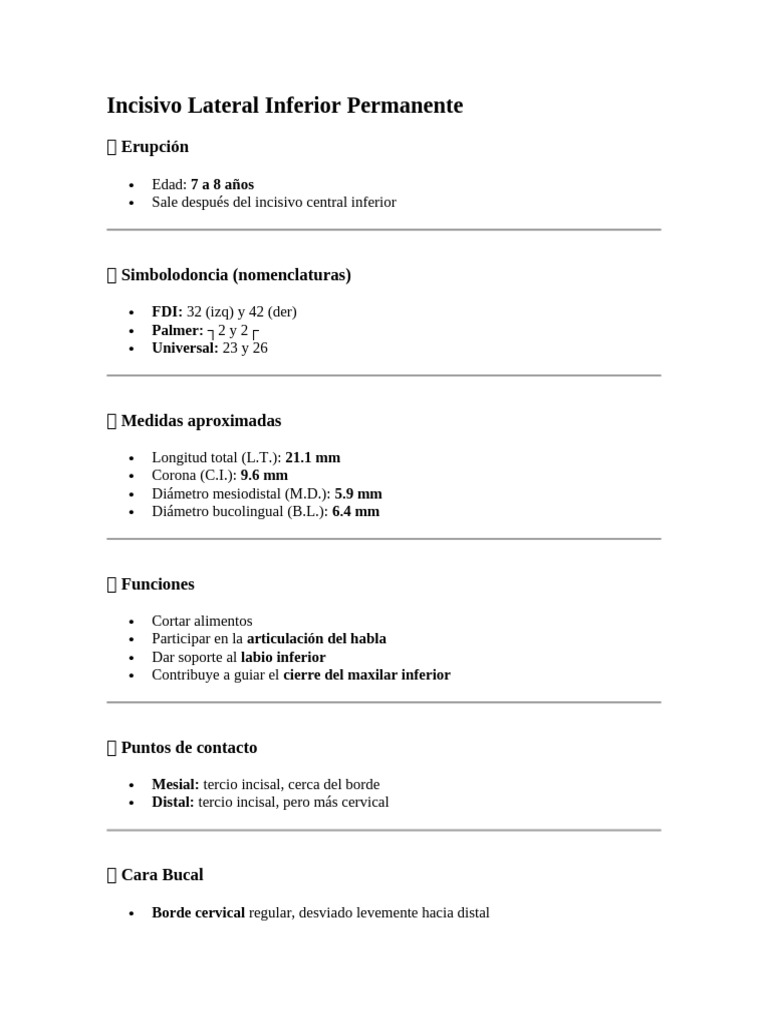 Anatomía y Medidas del Incisivo Lateral Inferior | PDF