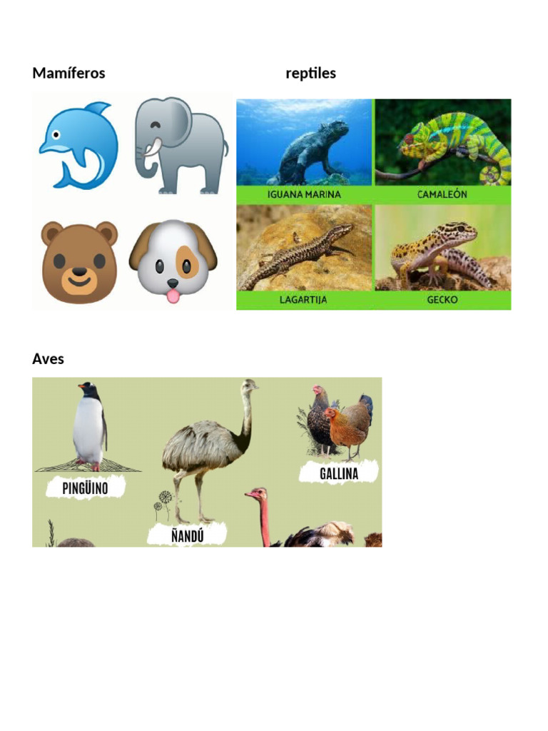 Mamíferos Reptiles | PDF