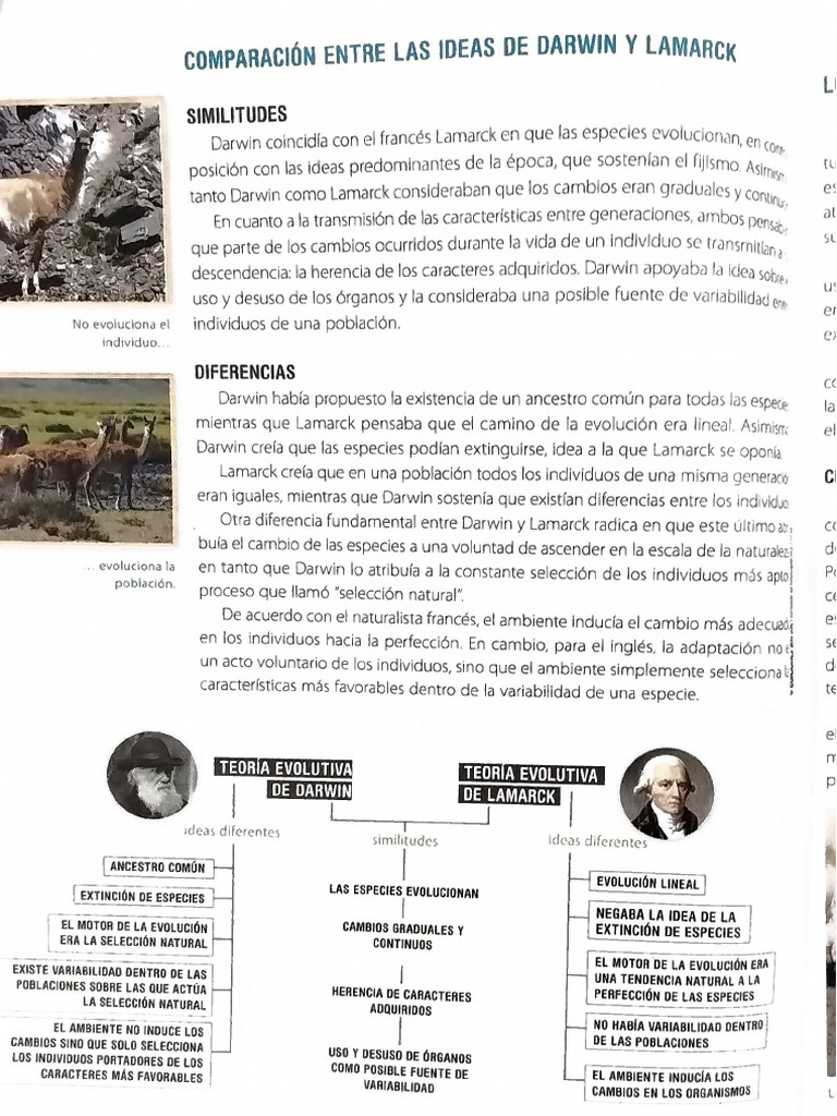 Darwin y Lamarck | PDF
