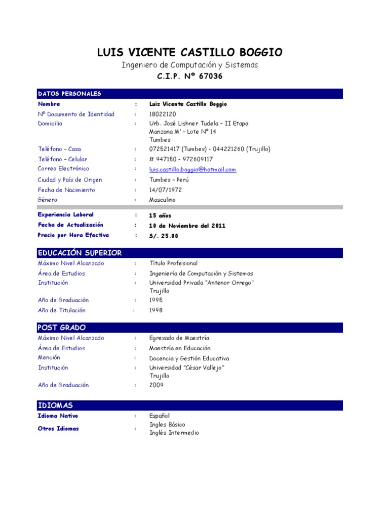 Curriculum Luis Castillo Boggio | PDF | Microsoft | Microsoft Windows
