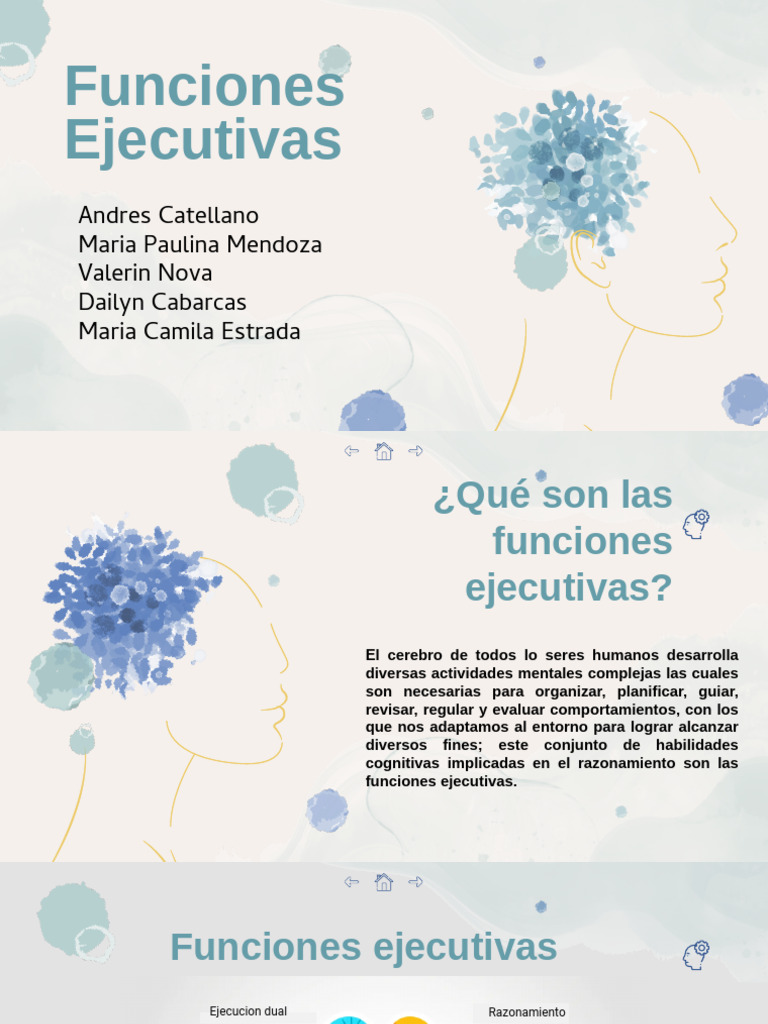 Funcioines Ejecutivas | PDF | Funciones ejecutivas | Memoria