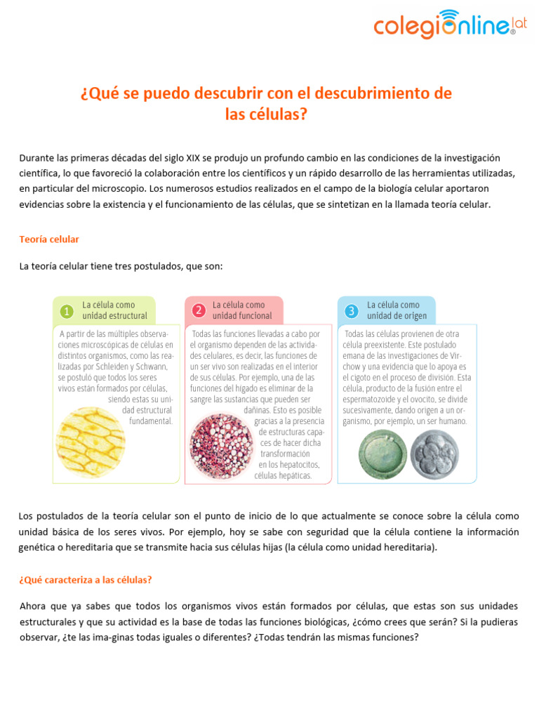 Teoría Celular y Tipos de Células | PDF | Biología Celular) | Organismos
