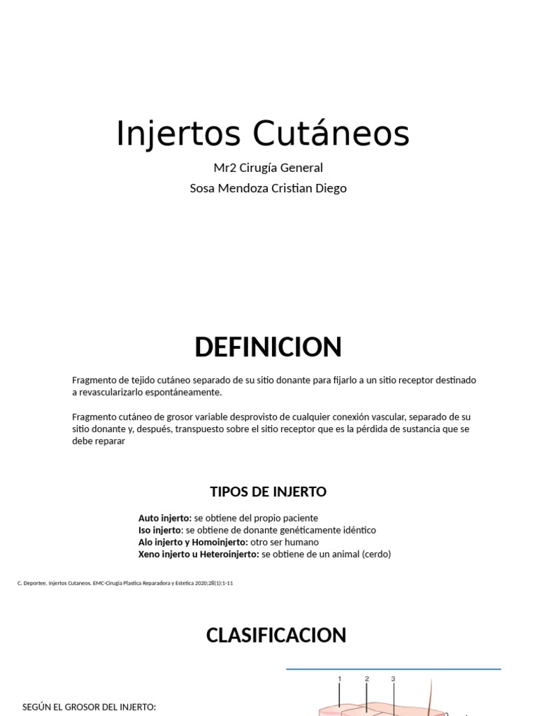 Injertos Cutáneos | PDF | Piel | Medicina de trasplante