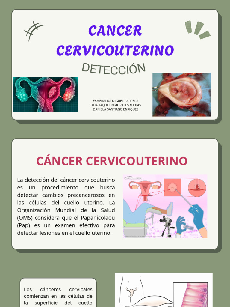 CANCER CERVICOUTERINO | PDF | Cáncer de cuello uterino | Enfermedades y trastornos humanos