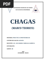 Triatominos: Vectores de Chagas | PDF | Biología